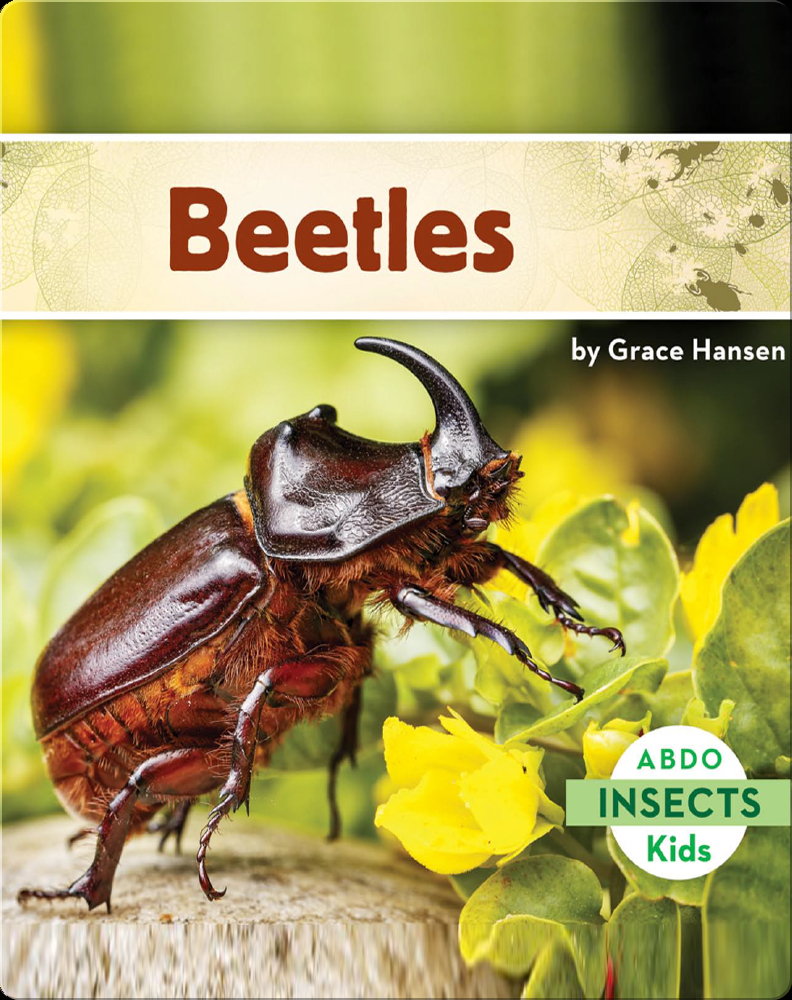 Beetles Book by Grace Hansen | Epic