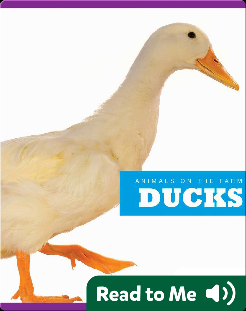 Ducks Book by Wendy Strobel Dieker | Epic