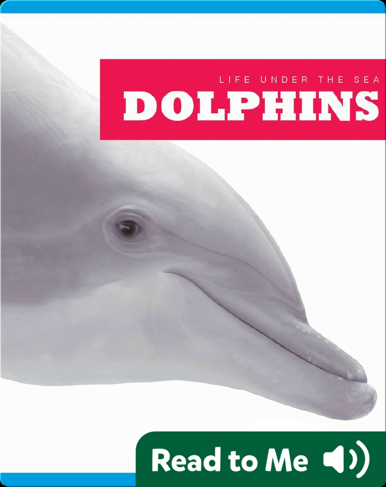 Dolphins Book by Cari Meister | Epic