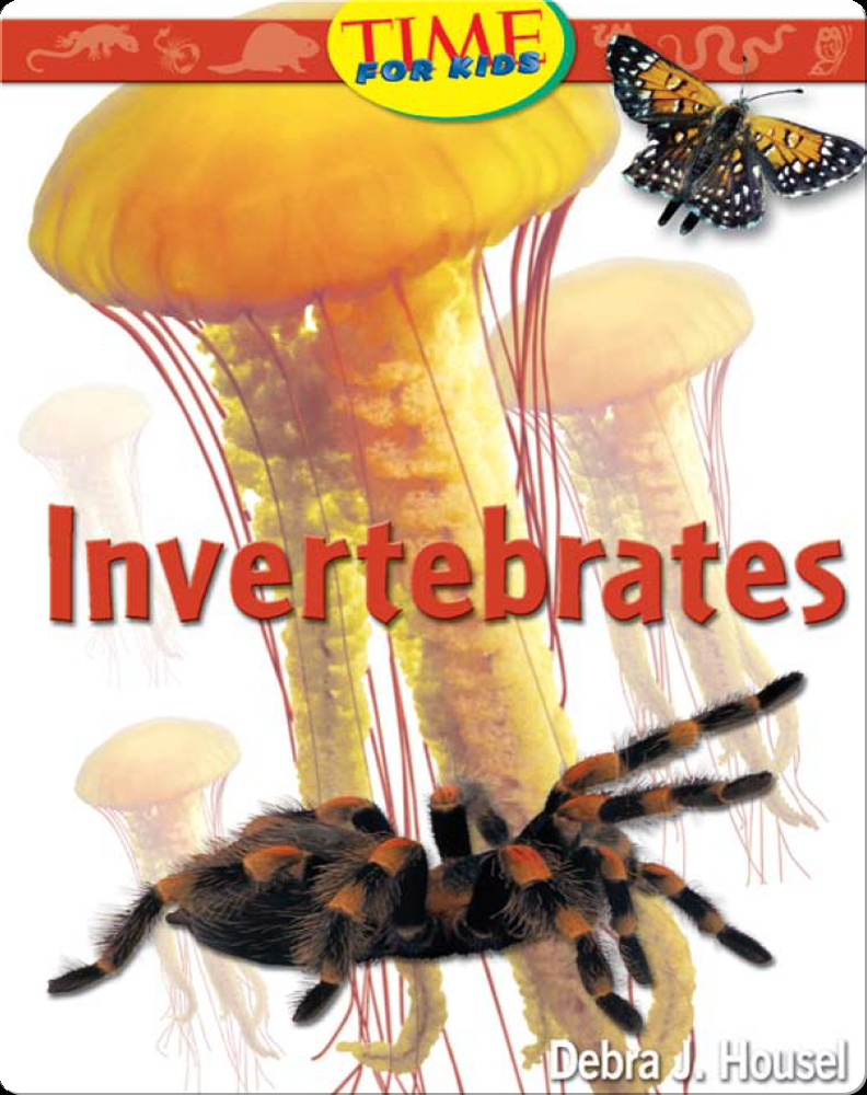 Invertebrates Book by Debra J. Housel | Epic
