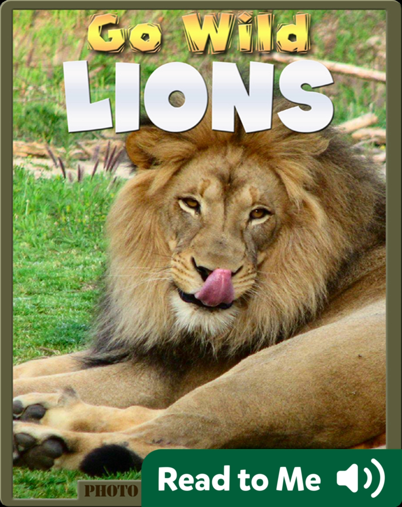 Go Wild Lions Book by Joe Fitzpatrick | Epic