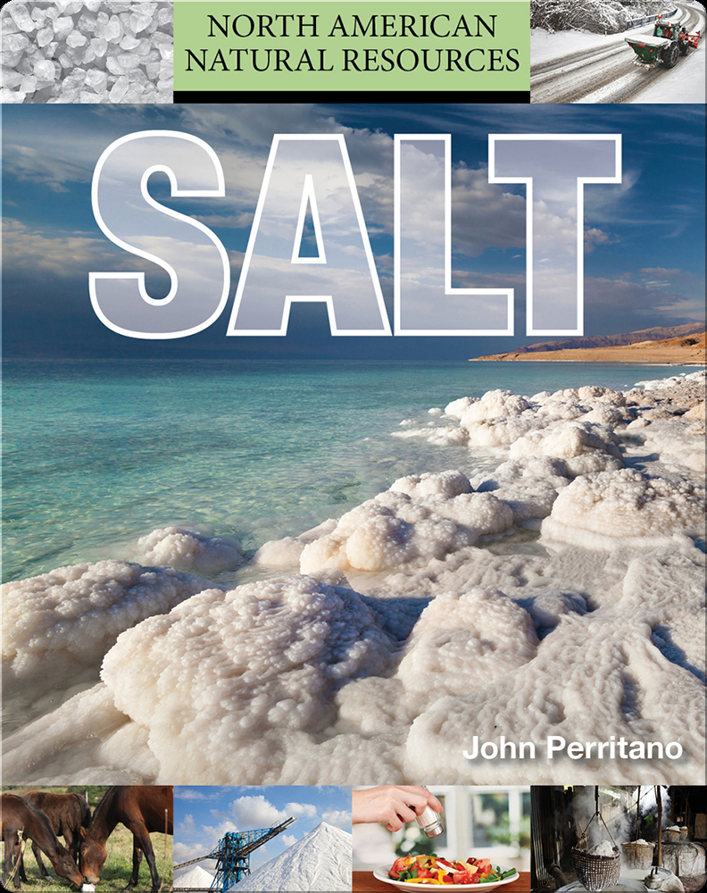 Salt Book by John Perritano | Epic