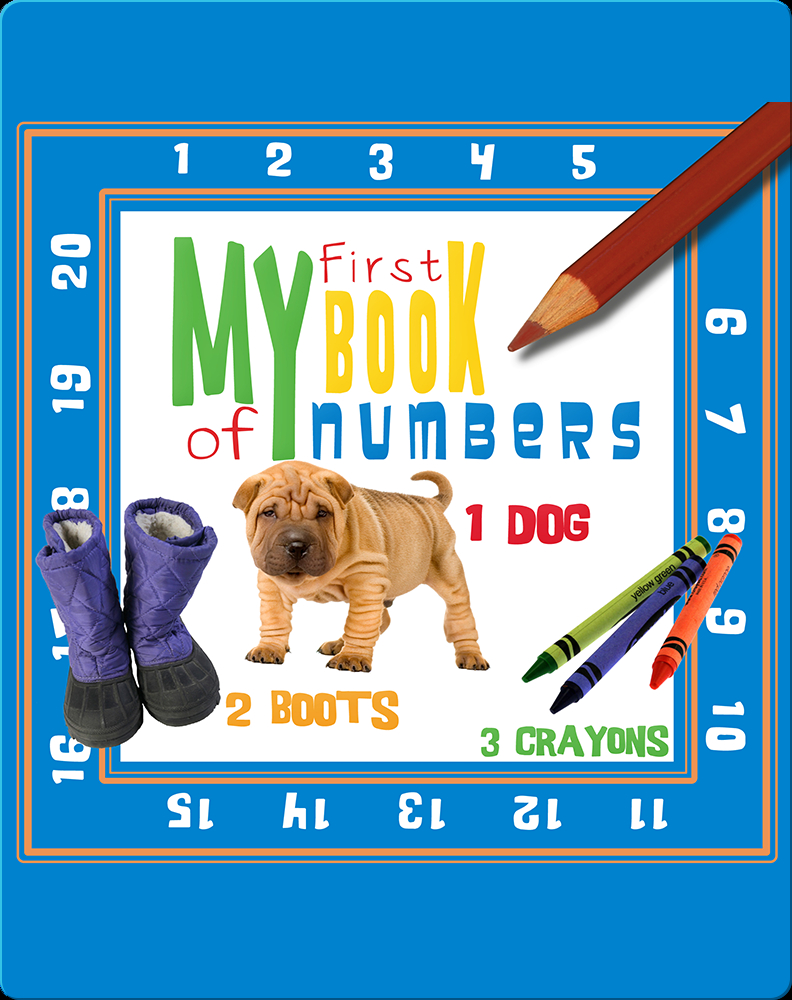 My First Book of Numbers Book by Flowerpot Press | Epic
