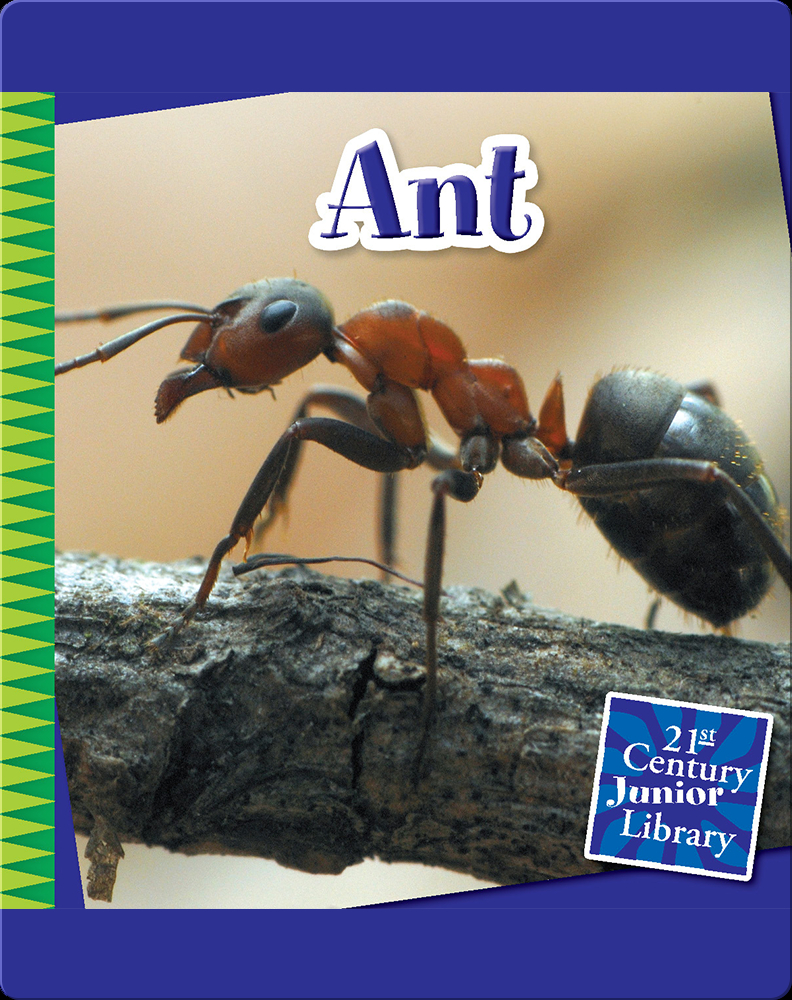 Ant Book by Susan H. Gray | Epic