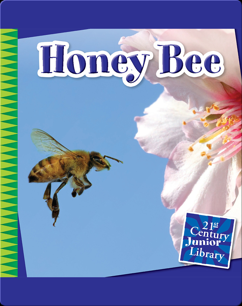 Honey Bee Book by Katie Marsico | Epic
