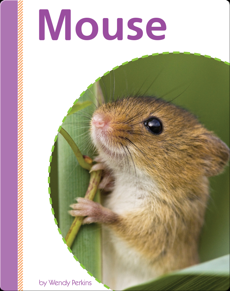 Mouse Book by Wendy Perkins | Epic