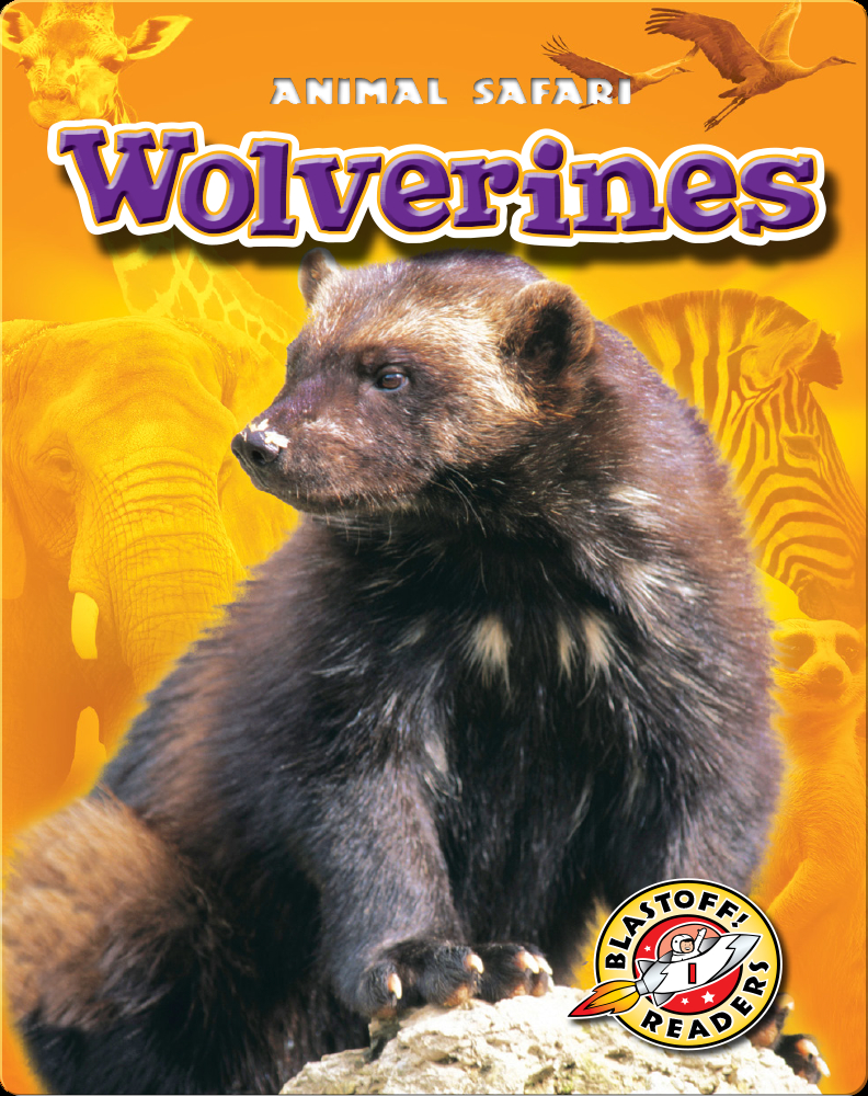 Wolverines Book by Megan Borgert-Spaniol | Epic