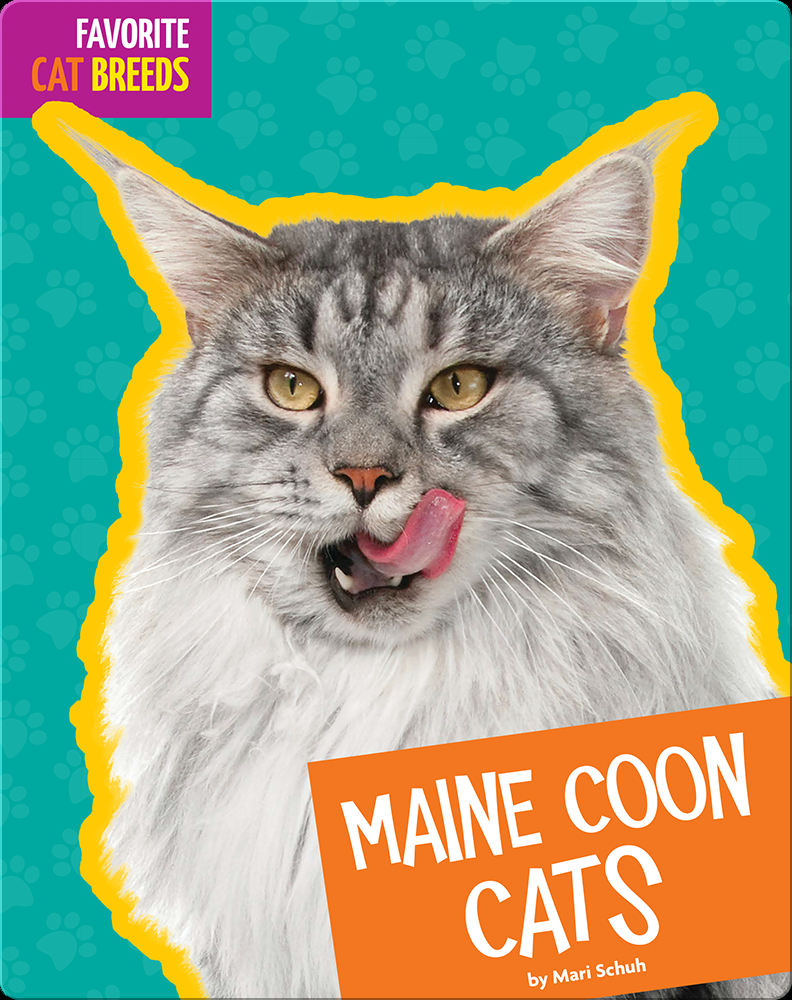 Maine Coon Cats Book by Mari Schuh | Epic