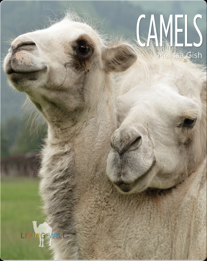 Camels Book by | Epic