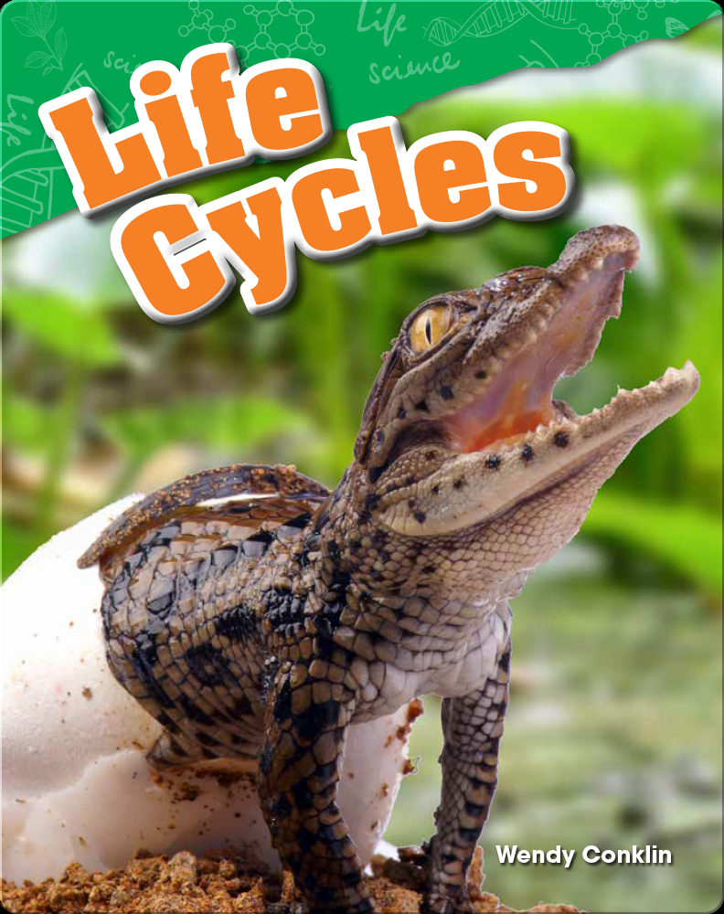 Life Cycles Book by Wendy Conklin | Epic