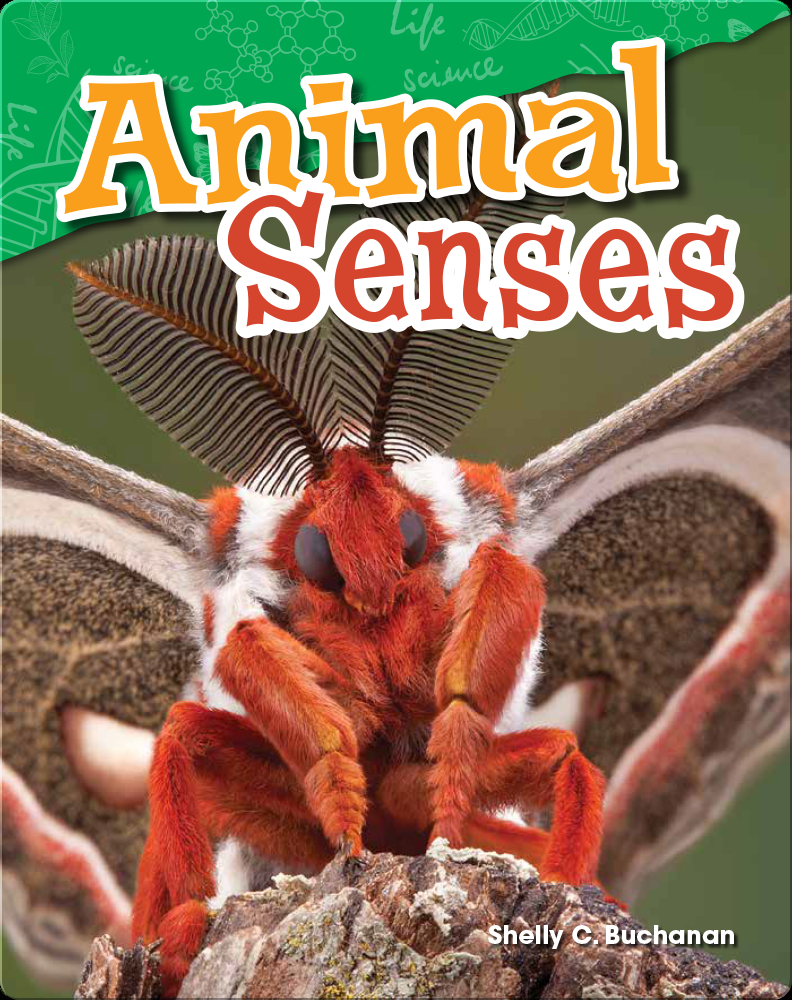 Animal Senses Book by Shelly Buchanan, Shelly C. Buchanan | Epic