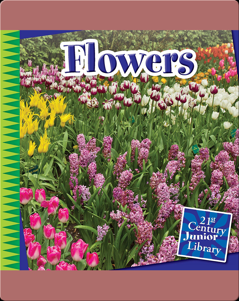 Flowers Book by Jennifer Colby | Epic