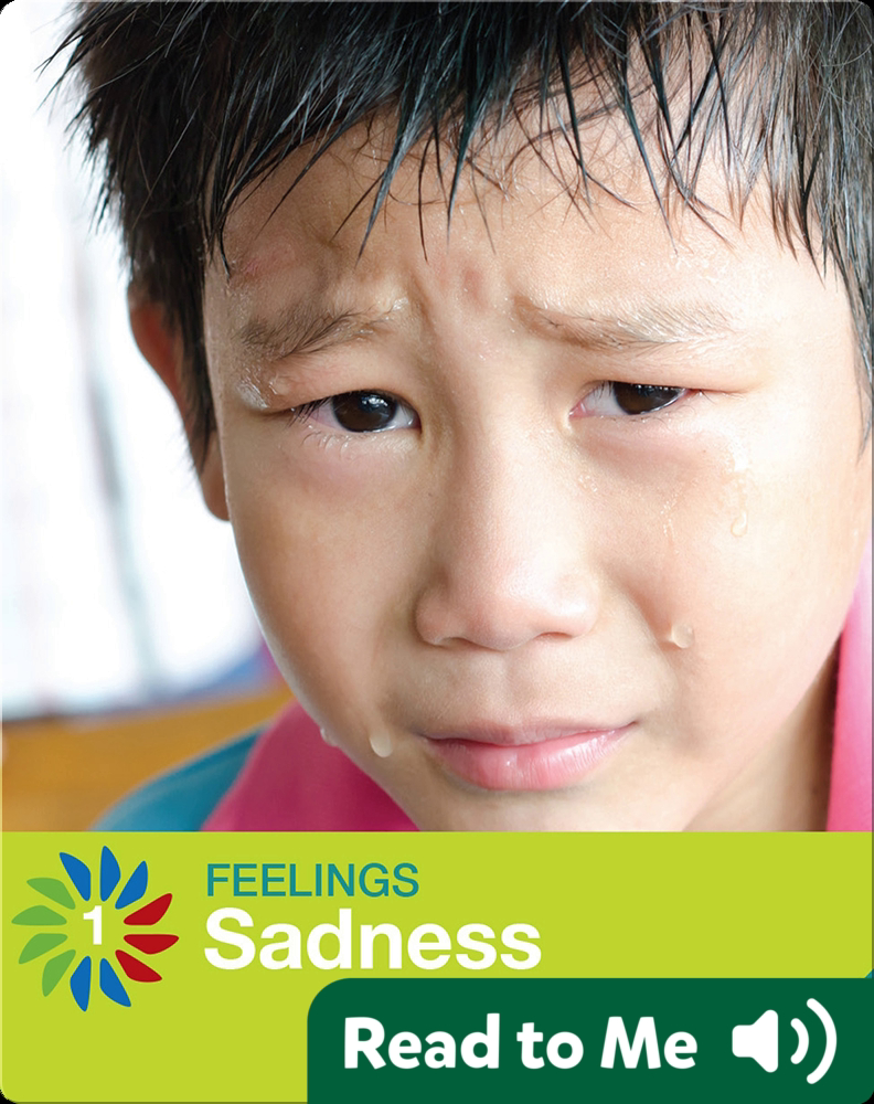 Sadness Book by Tamra B. Orr | Epic