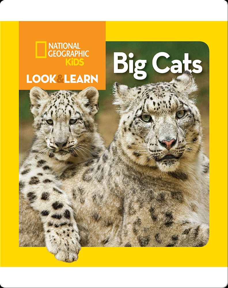 National Geographic Kids Look and Learn: Big Cats Book by National ...