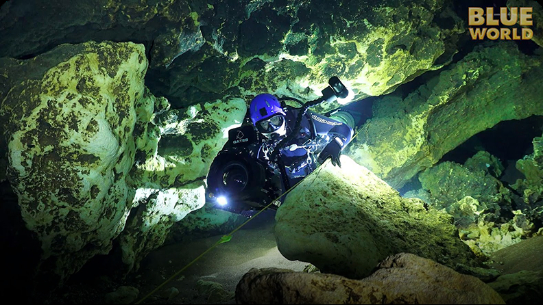 Jonathan Bird's Blue World: Florida Cave Diving Video | Discover Fun ...