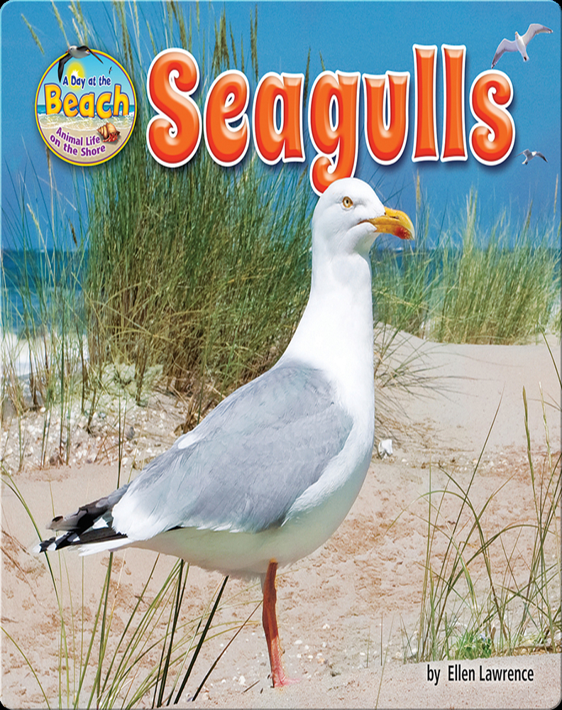 Seagulls Book by Ellen Lawrence | Epic