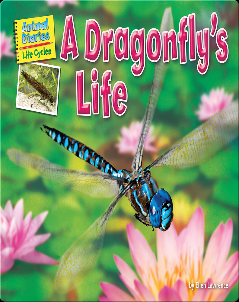 A Dragonfly's Life Book by Ellen Lawrence | Epic