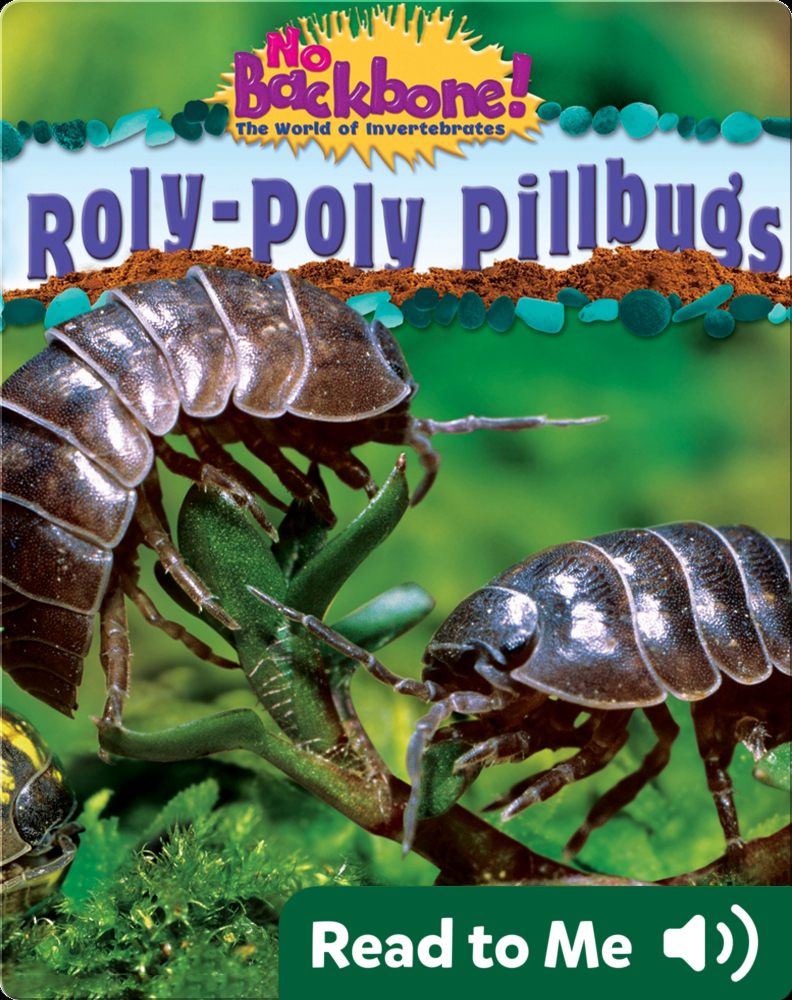 Roly-Poly Pillbugs Book by Molly Smith | Epic