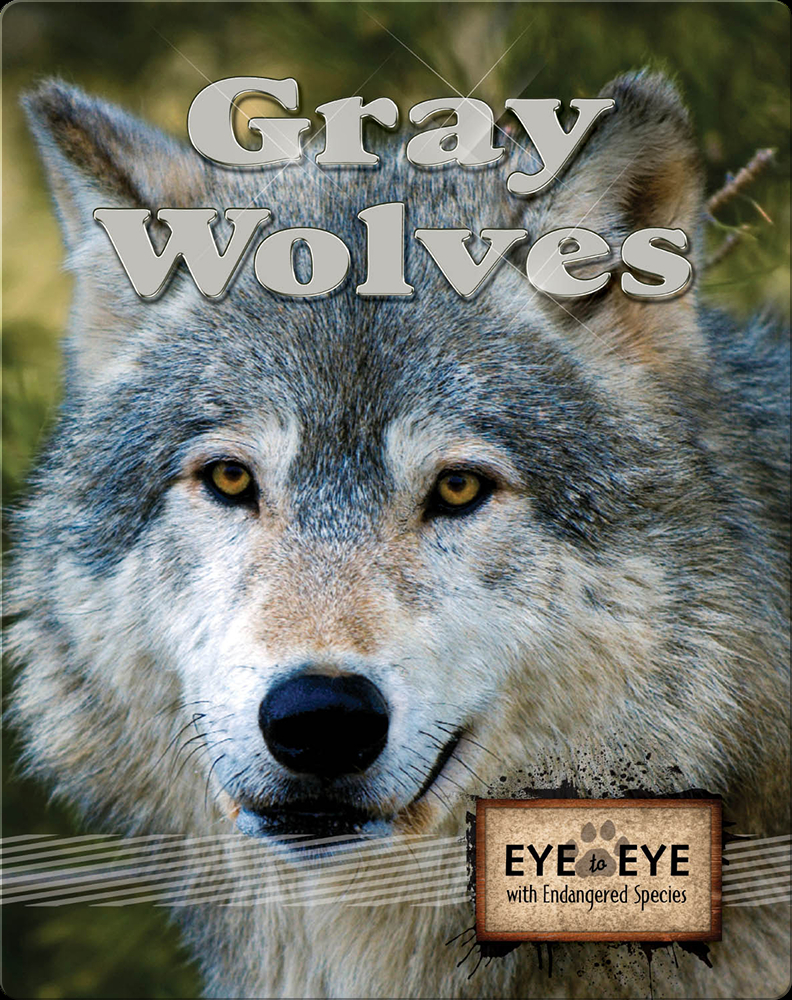 Gray Wolves Book by Don McLeese | Epic