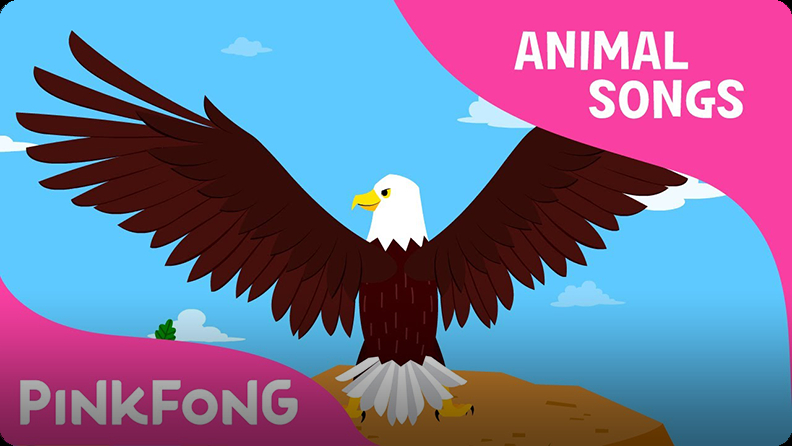 Powerful Bald Eagle (Animal Songs) Video | Discover Fun and Educational ...