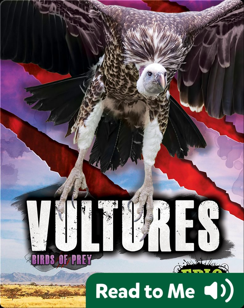 Vultures Book by Nathan Sommer | Epic
