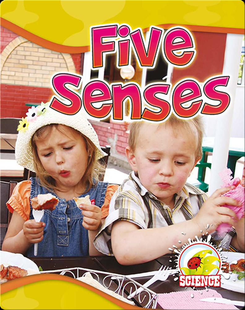 Five Senses Book by Dr. Jean Feldman | Epic