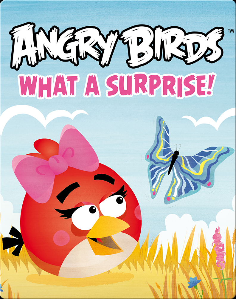 Angry Birds: What a Surprise Book by Kaiken | Epic