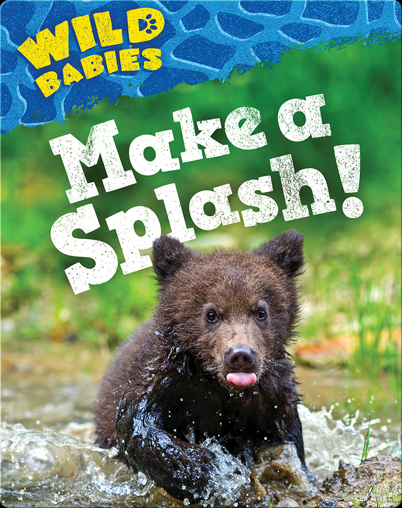 Make a Splash! Book by Jon Alan | Epic