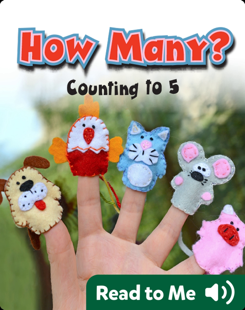 How Many? Counting To Five Book by Miranda Kelly | Epic