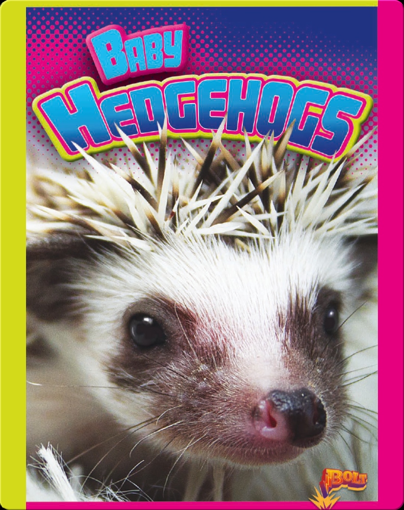 Baby Hedgehogs Book by Deanna Caswell | Epic