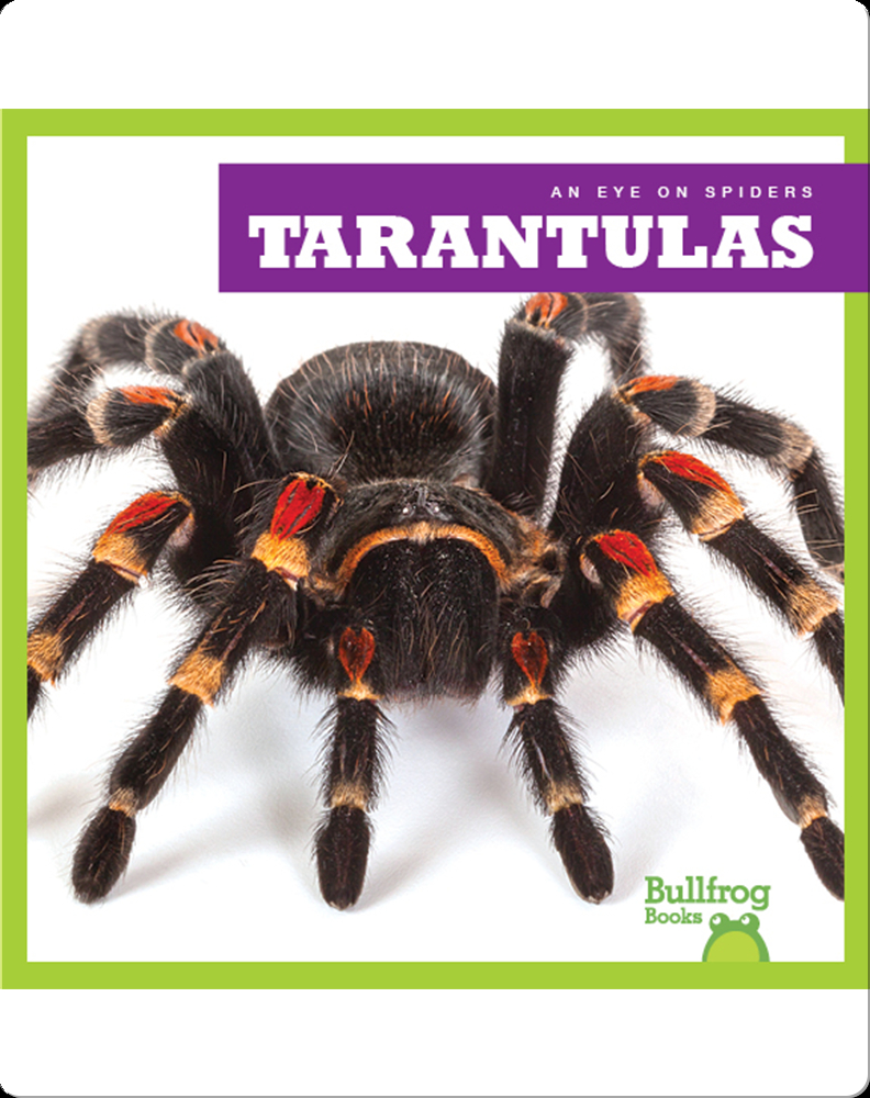 Tarantulas Book by Kristine Spanier | Epic