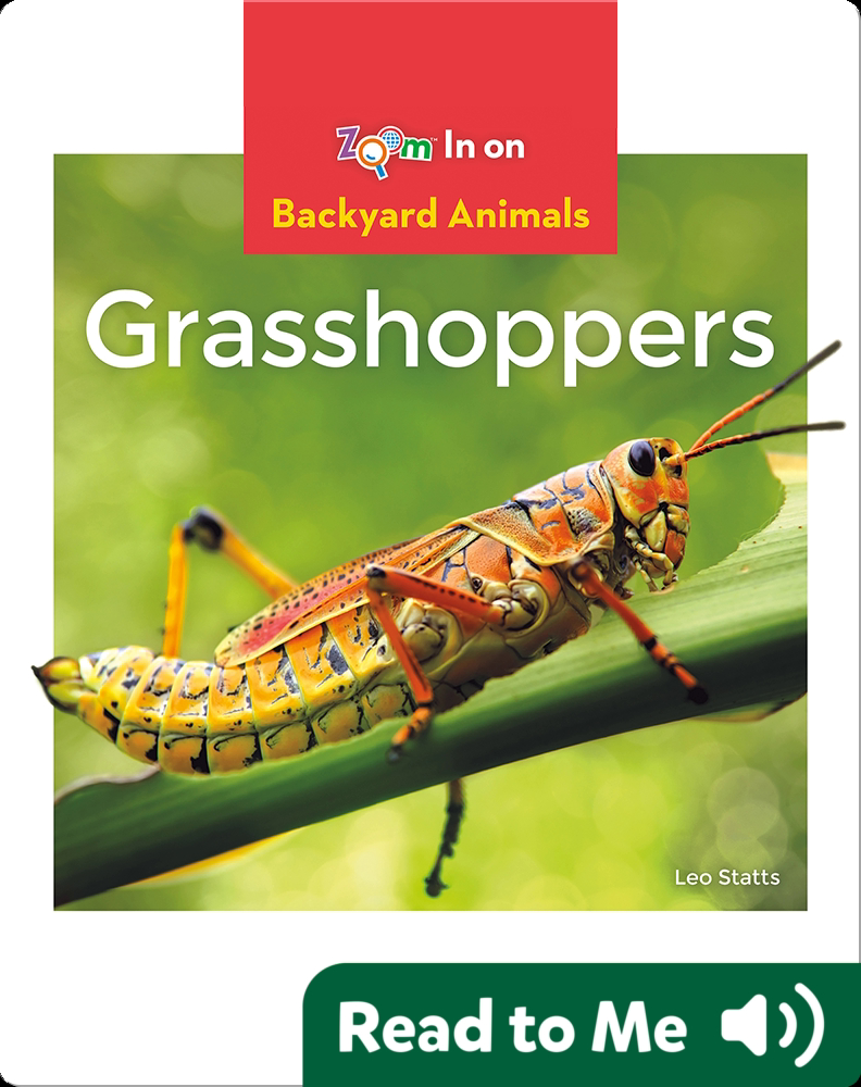 Grasshoppers Book by Leo Statts | Epic