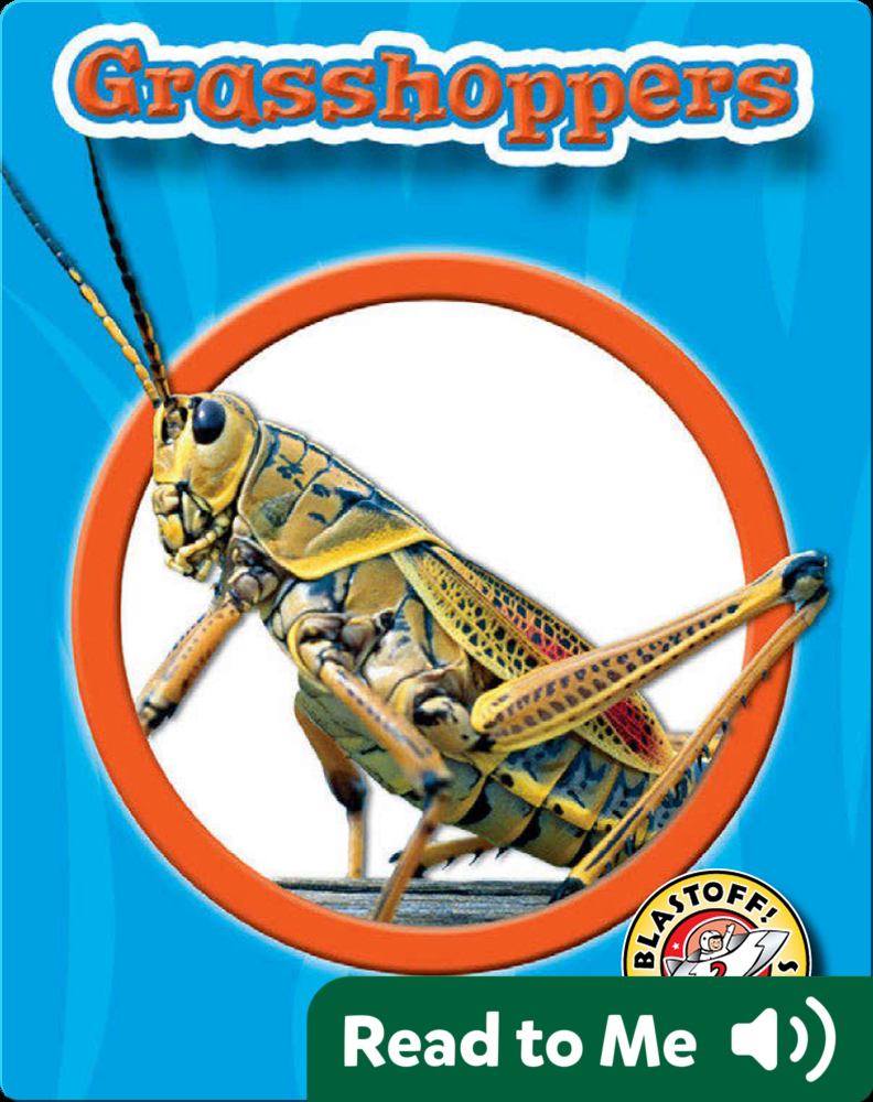 World of Insects: Grasshoppers Book by Emily Green | Epic