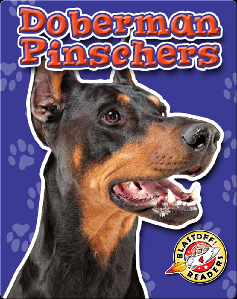 Doberman Pinschers: Dog Breeds Book by Sara Green | Epic