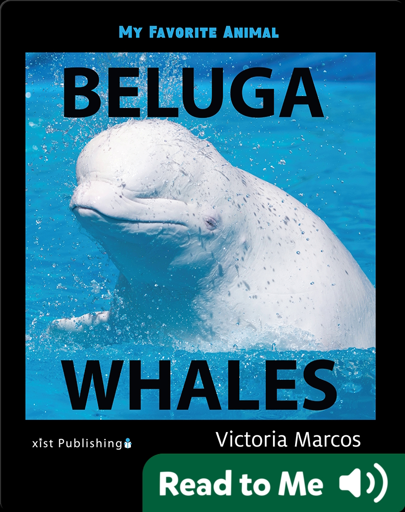 My Favorite Animal: Beluga Whales Book by Victoria Marcos | Epic