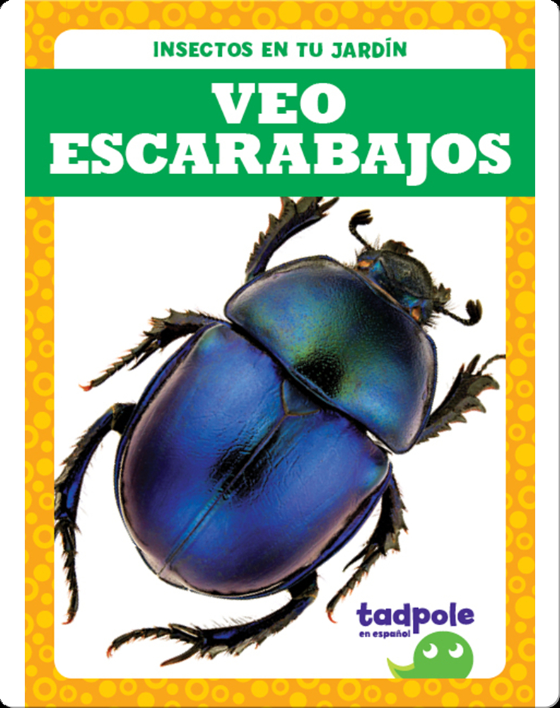 Insectos en tu jardín: Veo escarabajos Book by Genevieve Nilsen | Epic