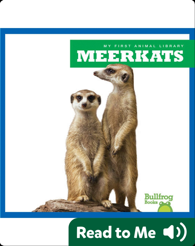 My First Animal Library: Meerkats Book by Penelope S. Nelson | Epic