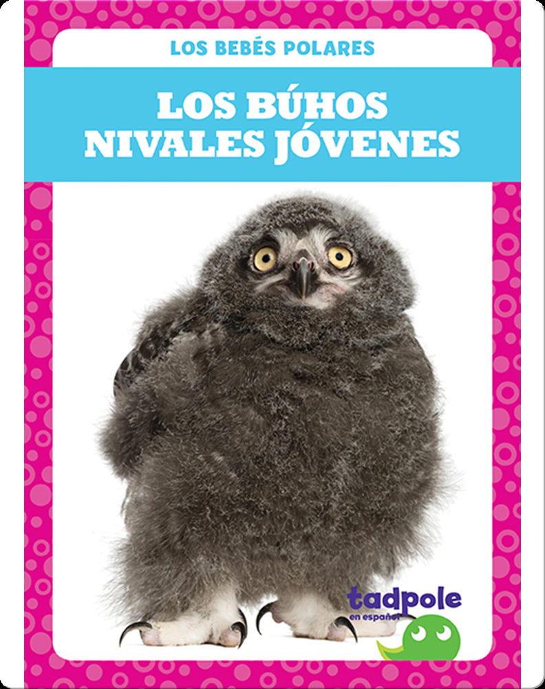 Los búhos nivales jóvenes Book by Genevieve Nilsen | Epic