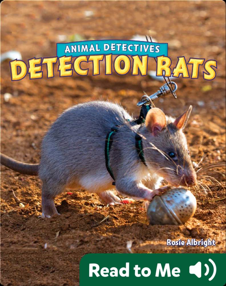 Detection Rats Book by Rosie Albright | Epic