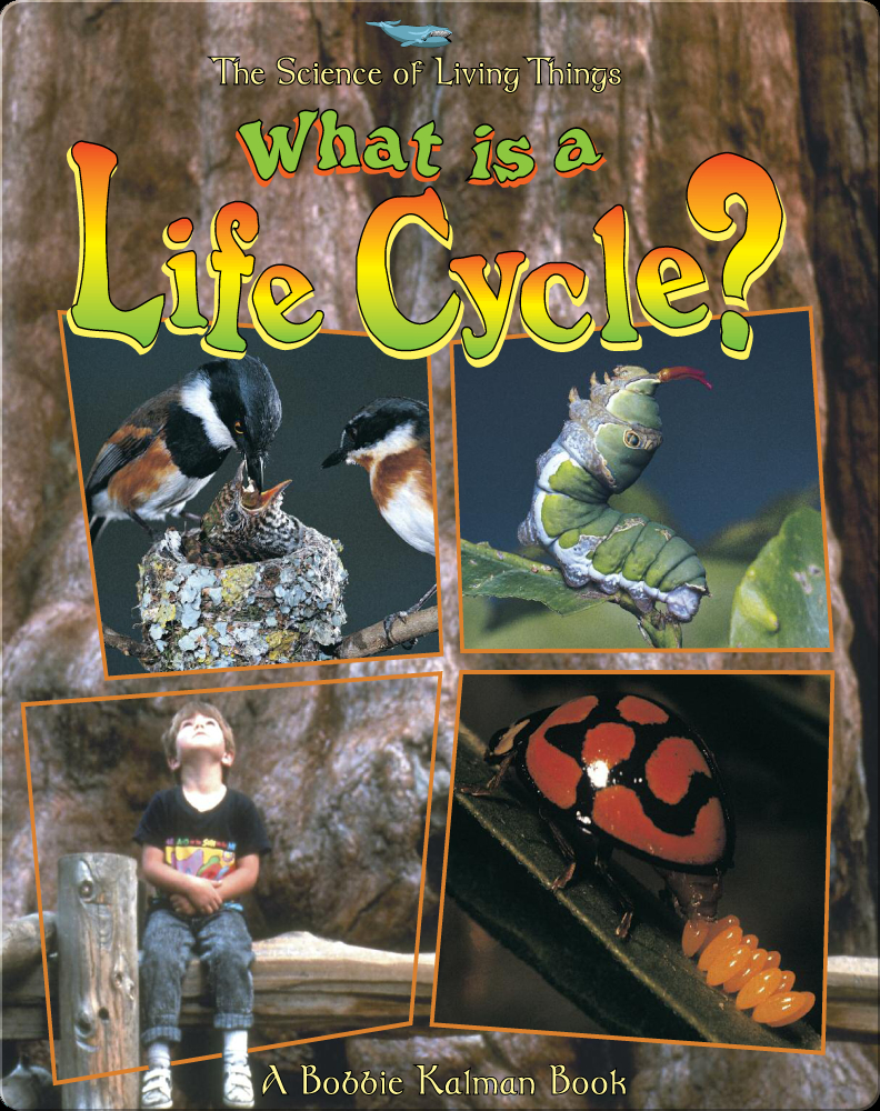 What is a Life Cycle? Book by Bobbie Kalman, Jacqueline Langille | Epic