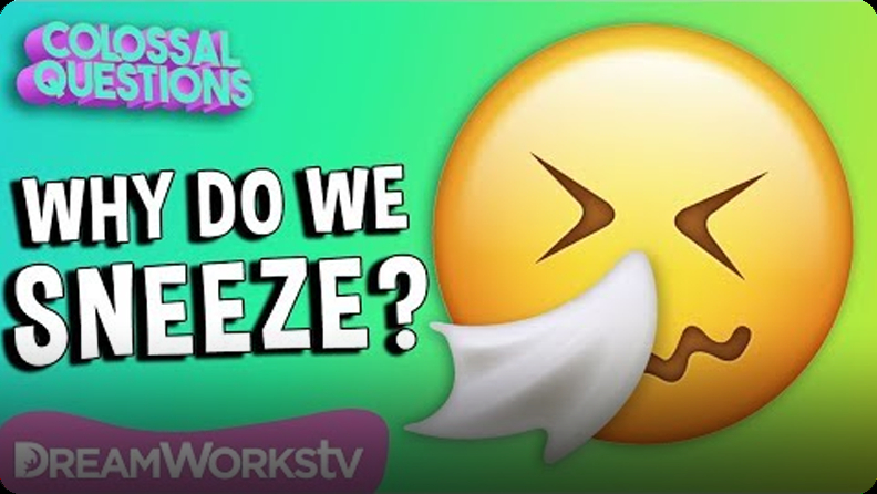 Why Do You Sneeze? | COLOSSAL QUESTIONS Video | Discover Fun and ...