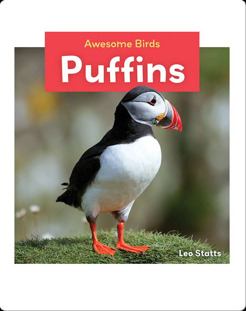 Puffins Book by Leo Statts | Epic