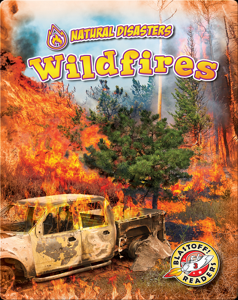 Natural Disasters: Wildfires Book by Rebecca Pettiford | Epic