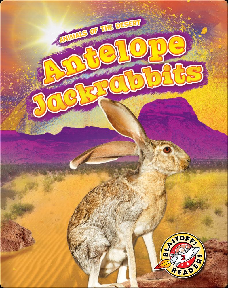 Animals of the Desert: Antelope Jackrabbits Book by Patrick Perish | Epic