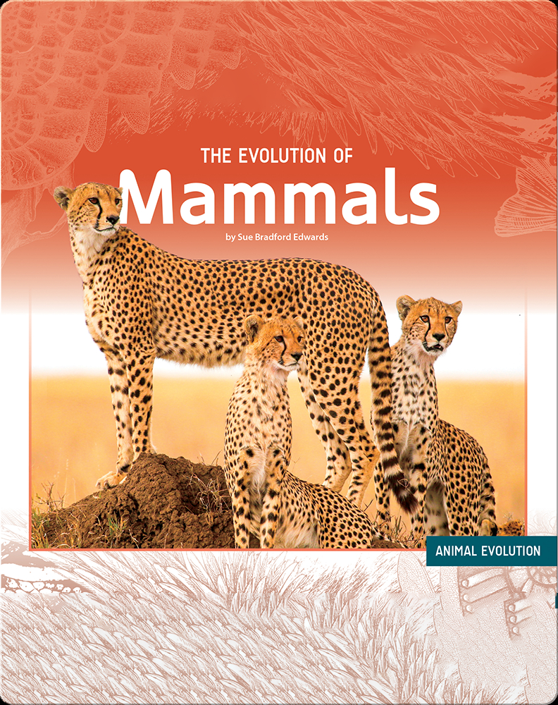 The Evolution of Mammals Book by Sue Bradford Edwards | Epic