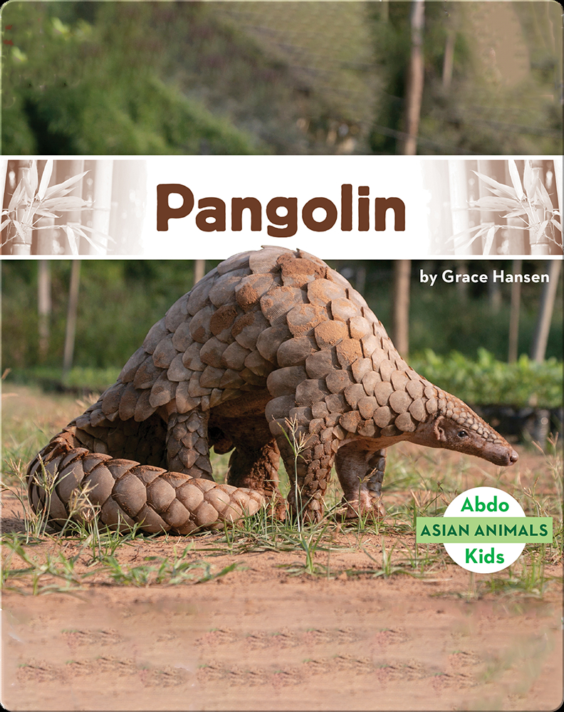 Asian Animals: Pangolin Book by Grace Hansen | Epic
