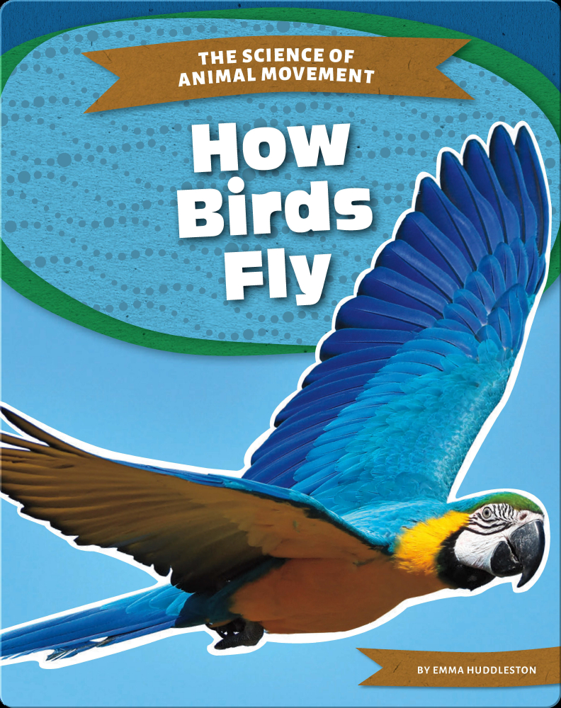 The Science of Animal Movement: How Birds Fly Book by Emma Huddleston ...