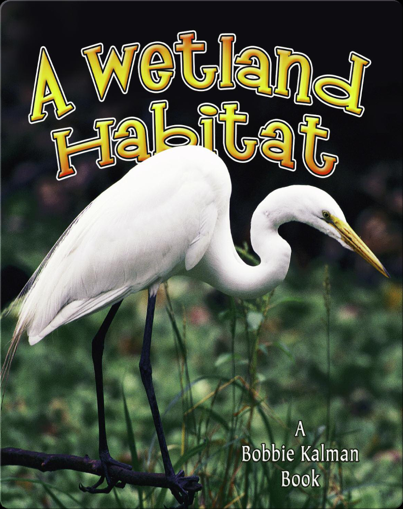 A Wetland Habitat Book by Bobbie Kalman, Molly Aloian | Epic