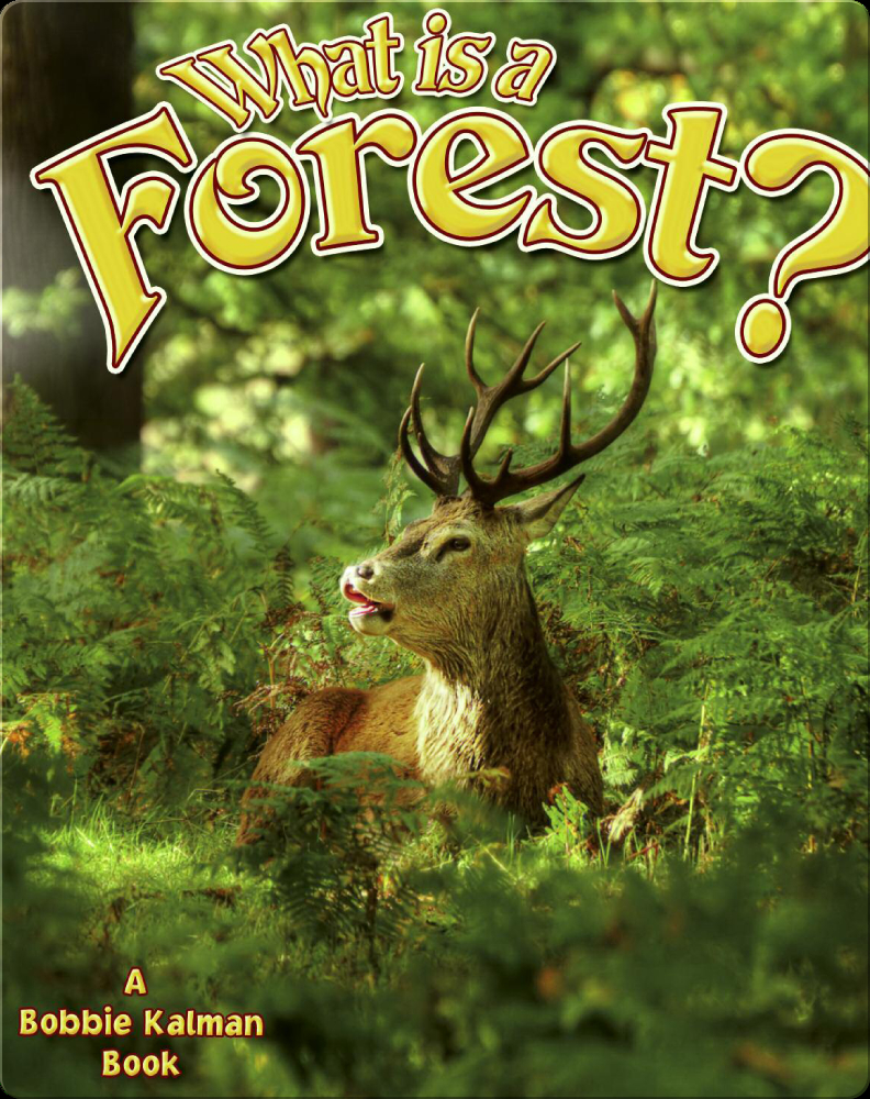 What is a Forest? Book by Bobbie Kalman, Kathryn Smithyman | Epic
