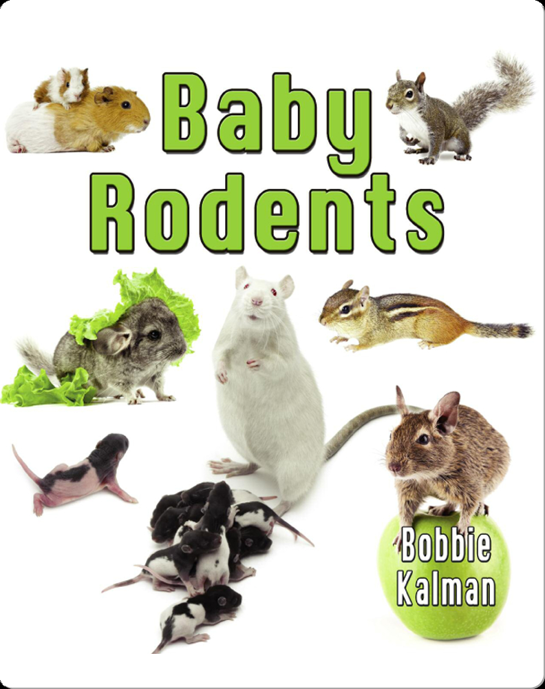 Baby Rodents Book by Bobbie Kalman | Epic